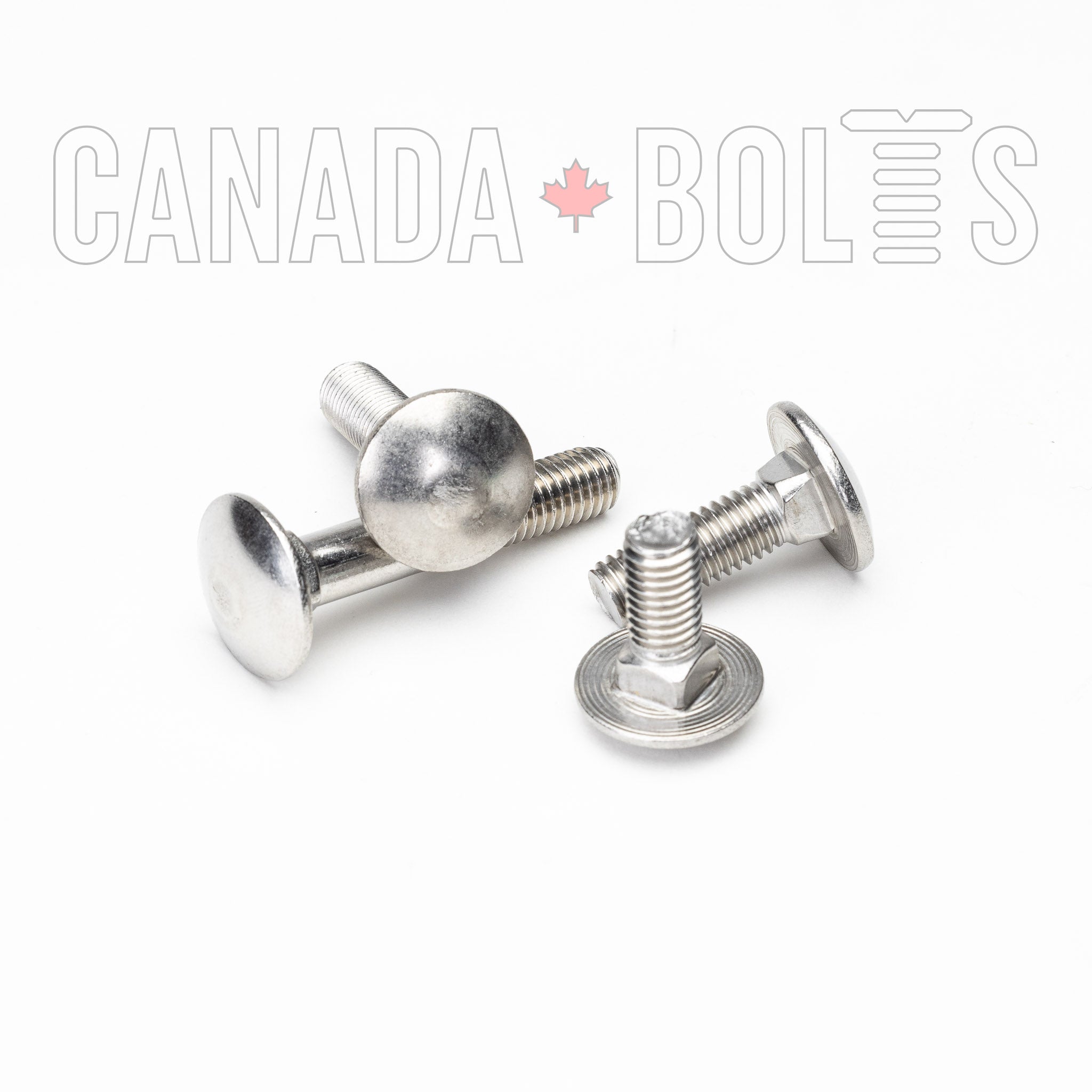 Metric, Carriage Bolts, Stainless Steel, M8 - CanadaBolts.ca