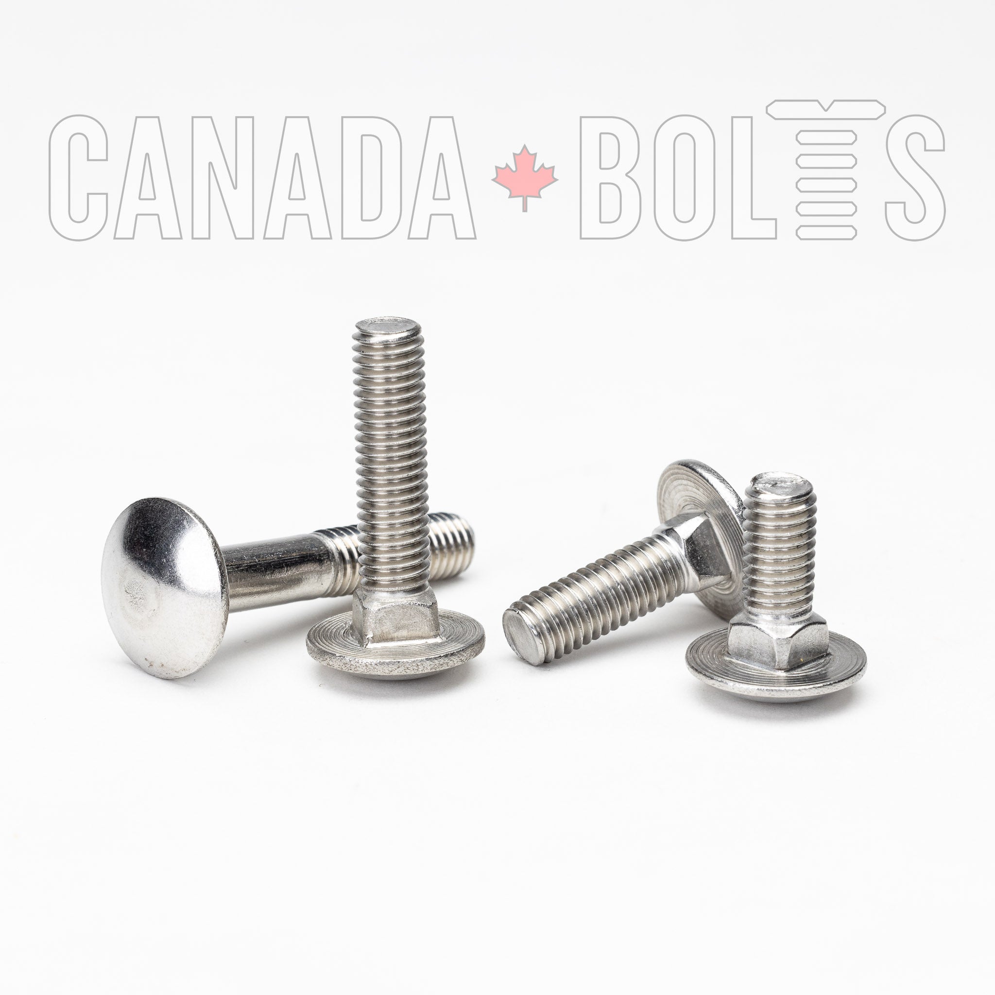 Metric, Carriage Bolts, Stainless Steel, M5 - CanadaBolts.ca